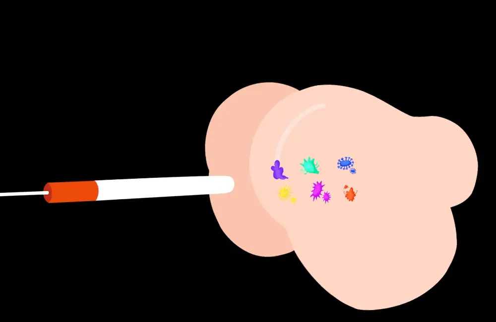 About The Features of Tantaly UV Germicidal Heating Rod – xtorso